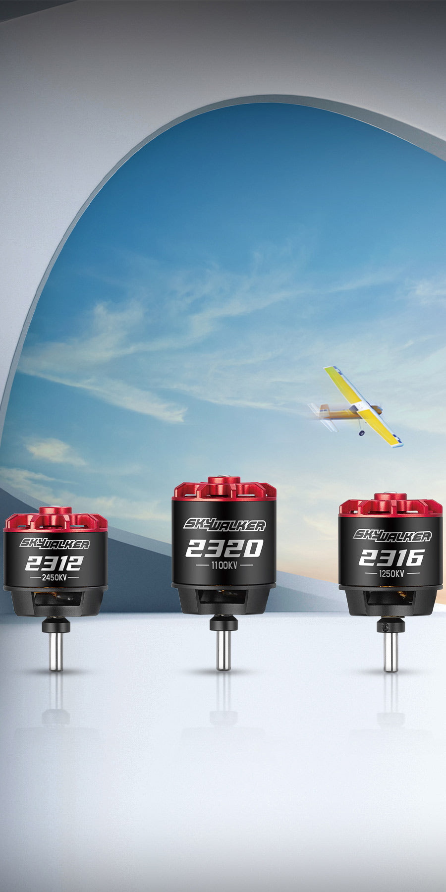 Skywalker 2300 series motors - HOBBYWING North America